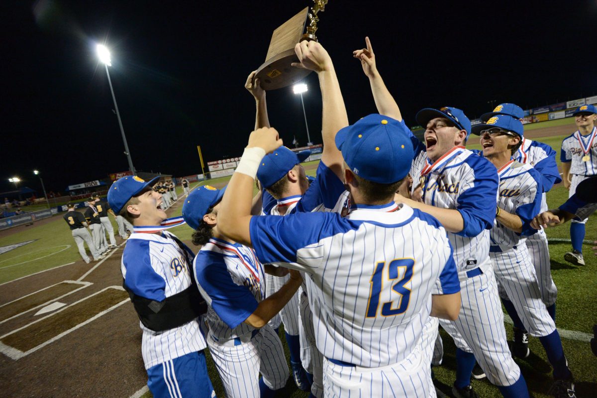 Canon-McMillan nets first WPIAL baseball championship in school history ...